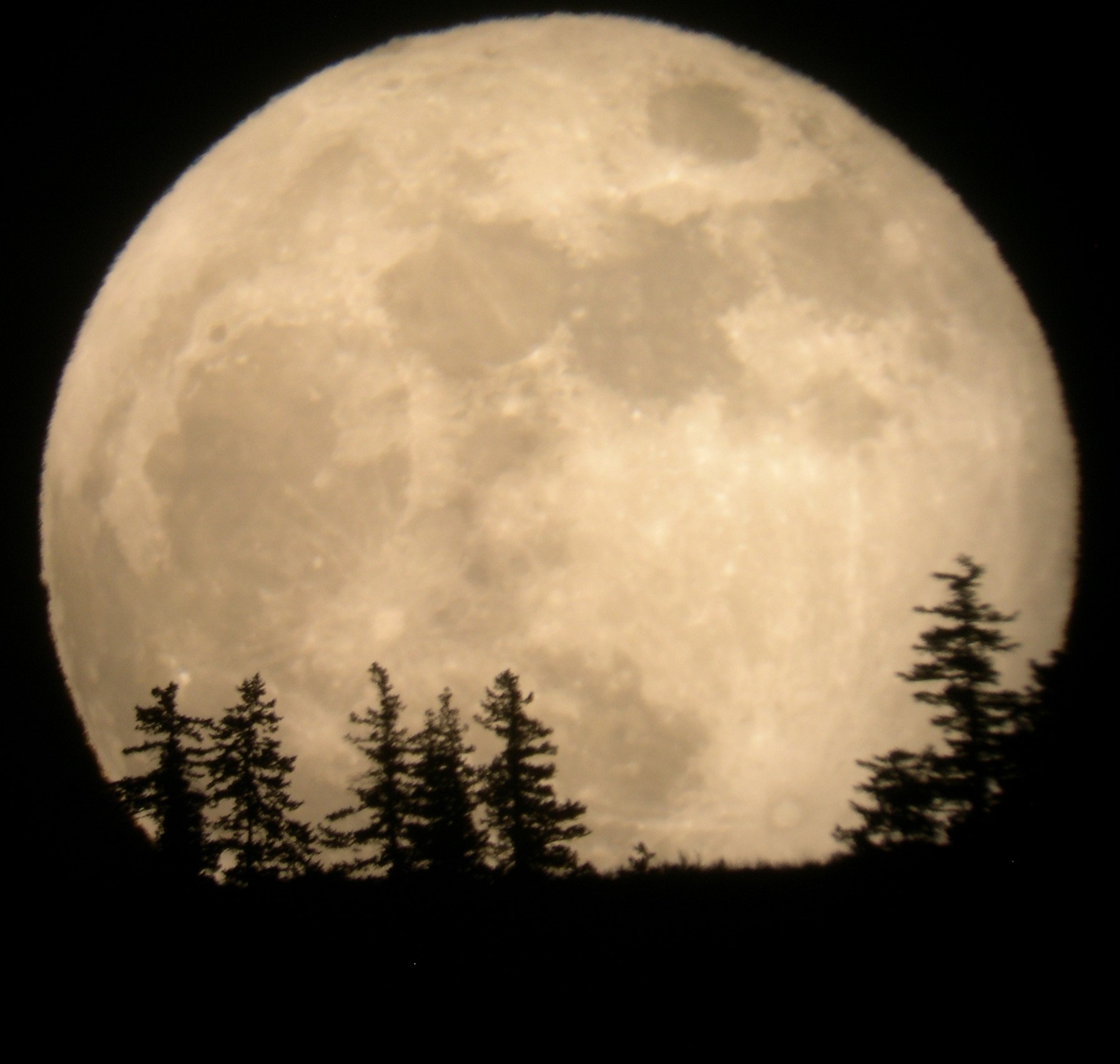 Origin of the Moon - AmazingPhysicsForAll